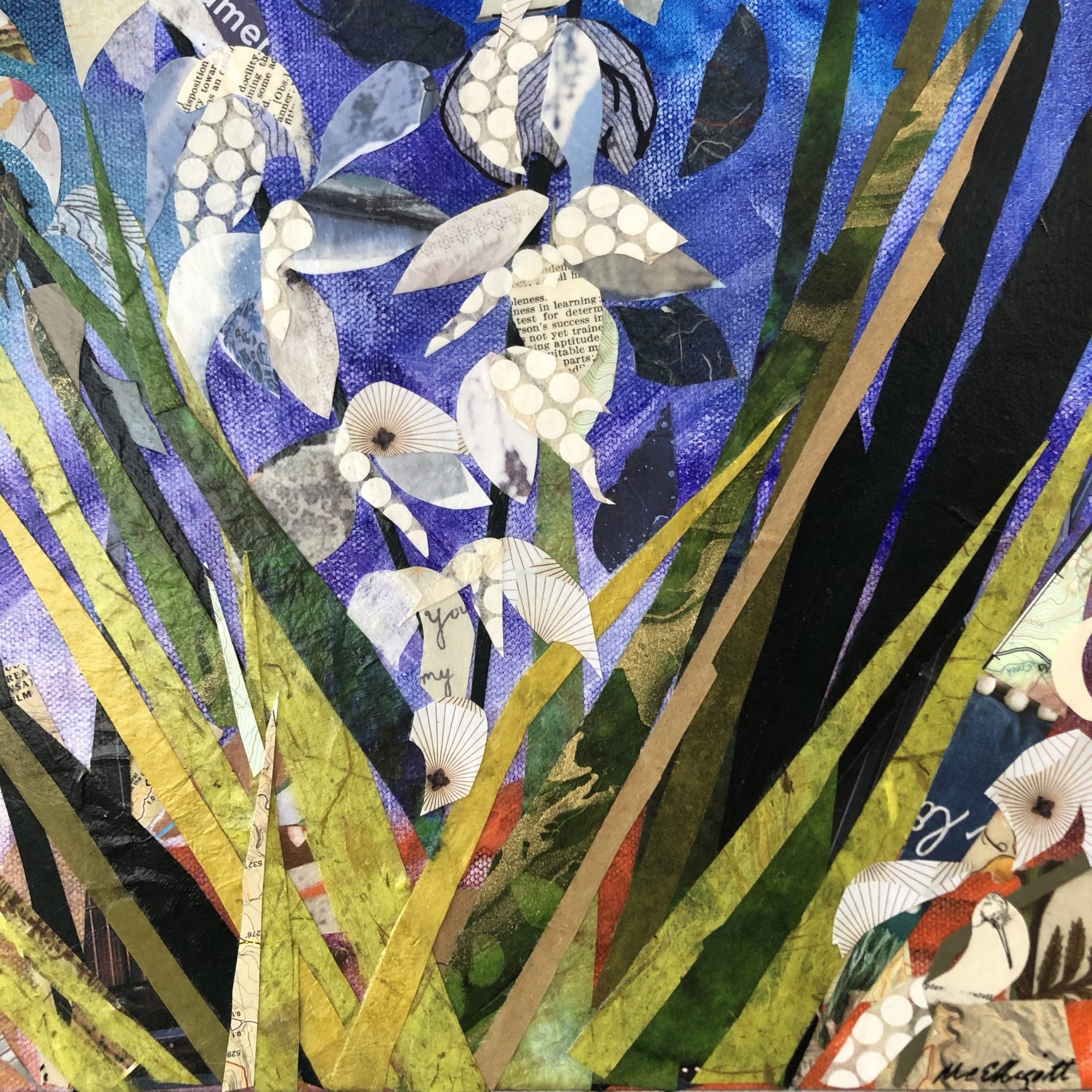YUCCA TRAIL II - Maggie Elligott