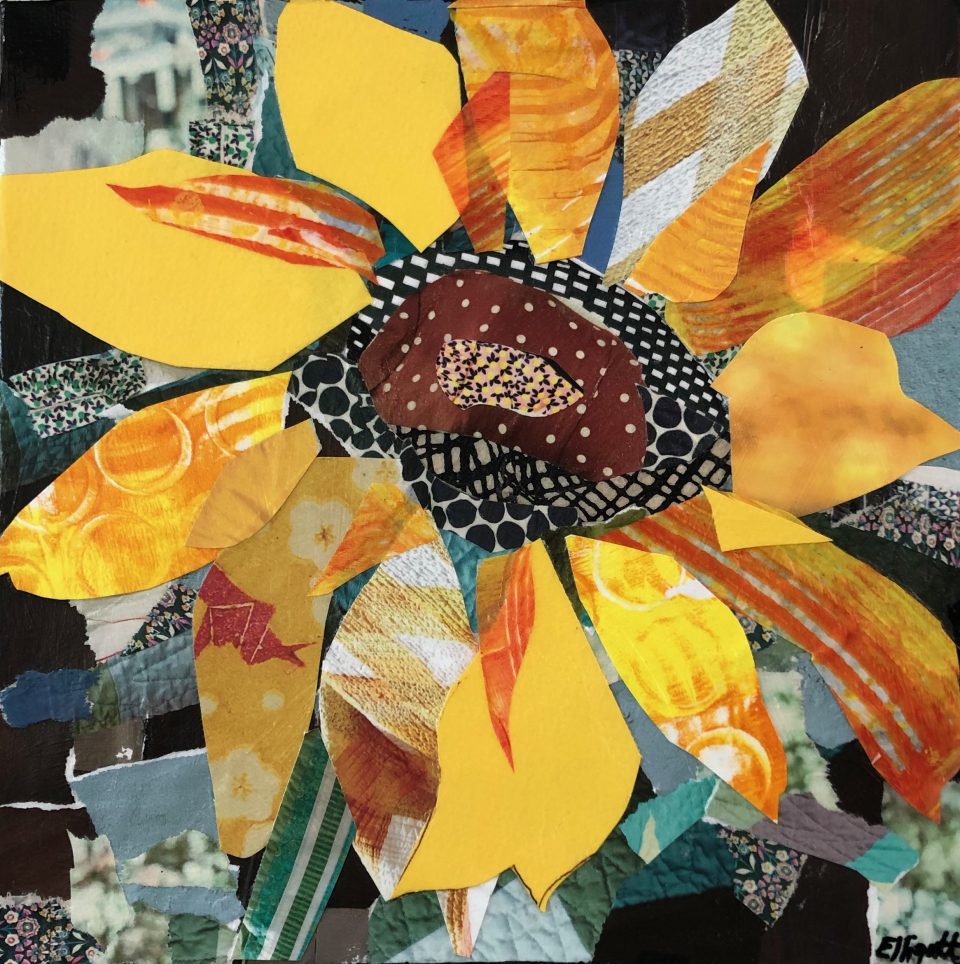 SUNFLOWER SERIES III - Maggie Elligott