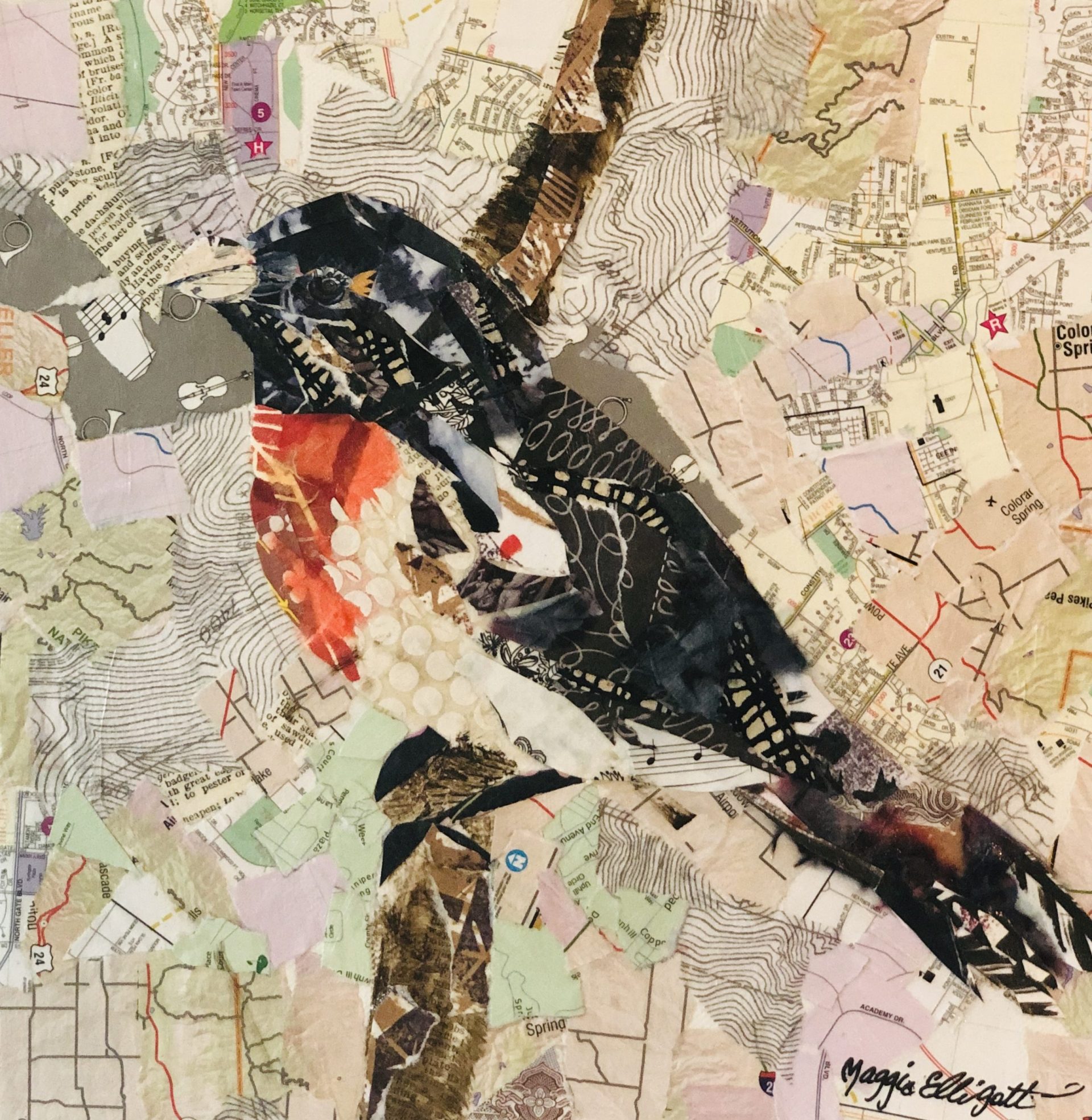 Gallery - Maggie Elligott